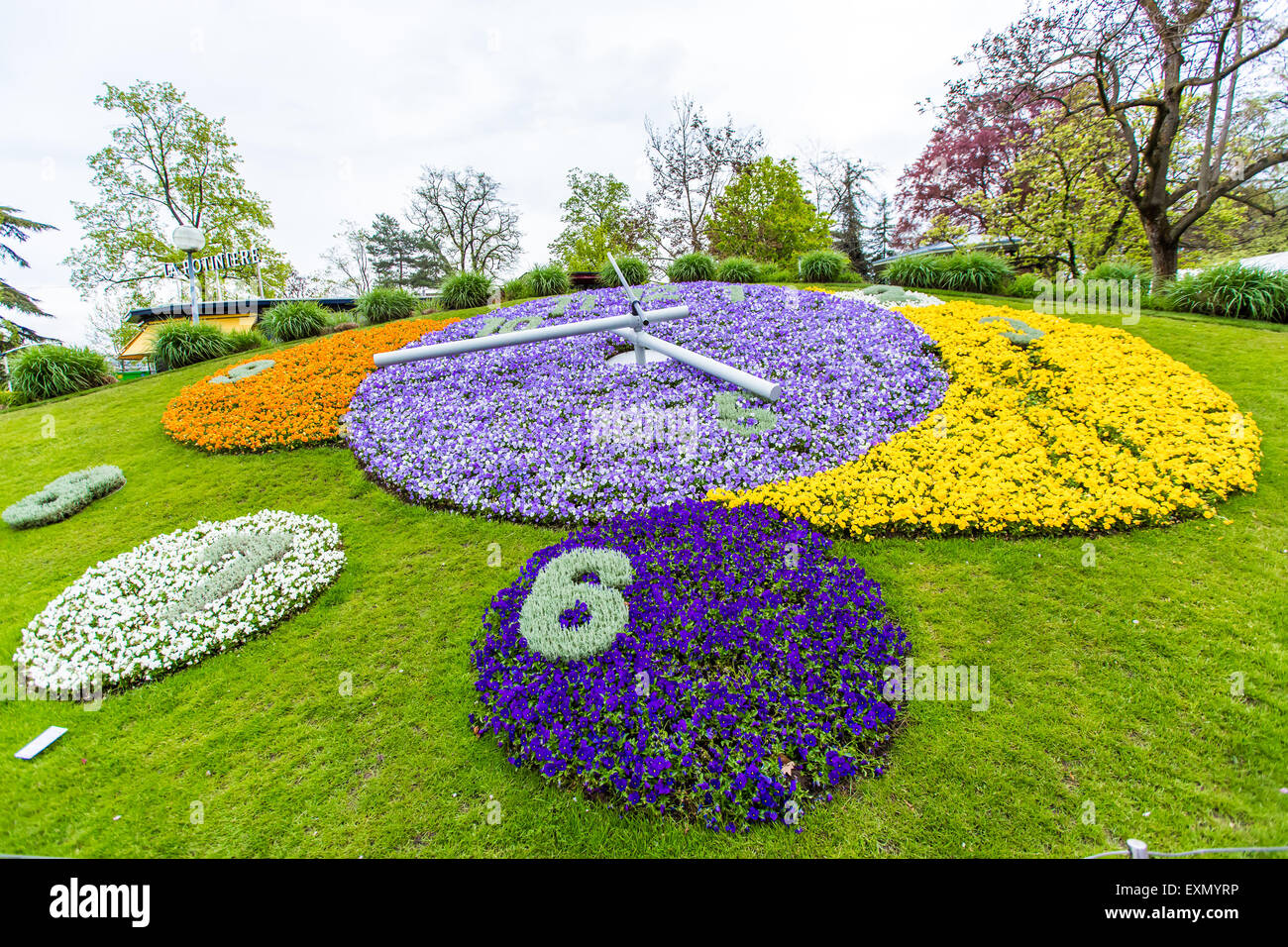Switzerland Geneva flower Stock Photo - Alamy