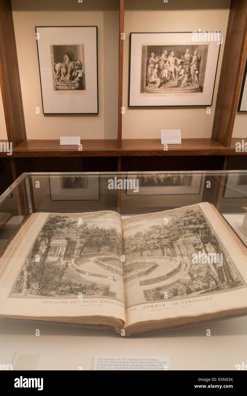 Princeton university firestone library in New Jersey Stock Photo - Alamy