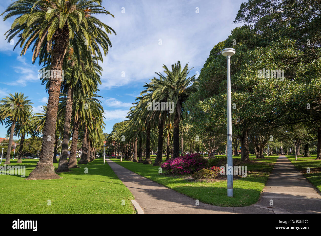Inner sydney suburb hi-res stock photography and images - Alamy