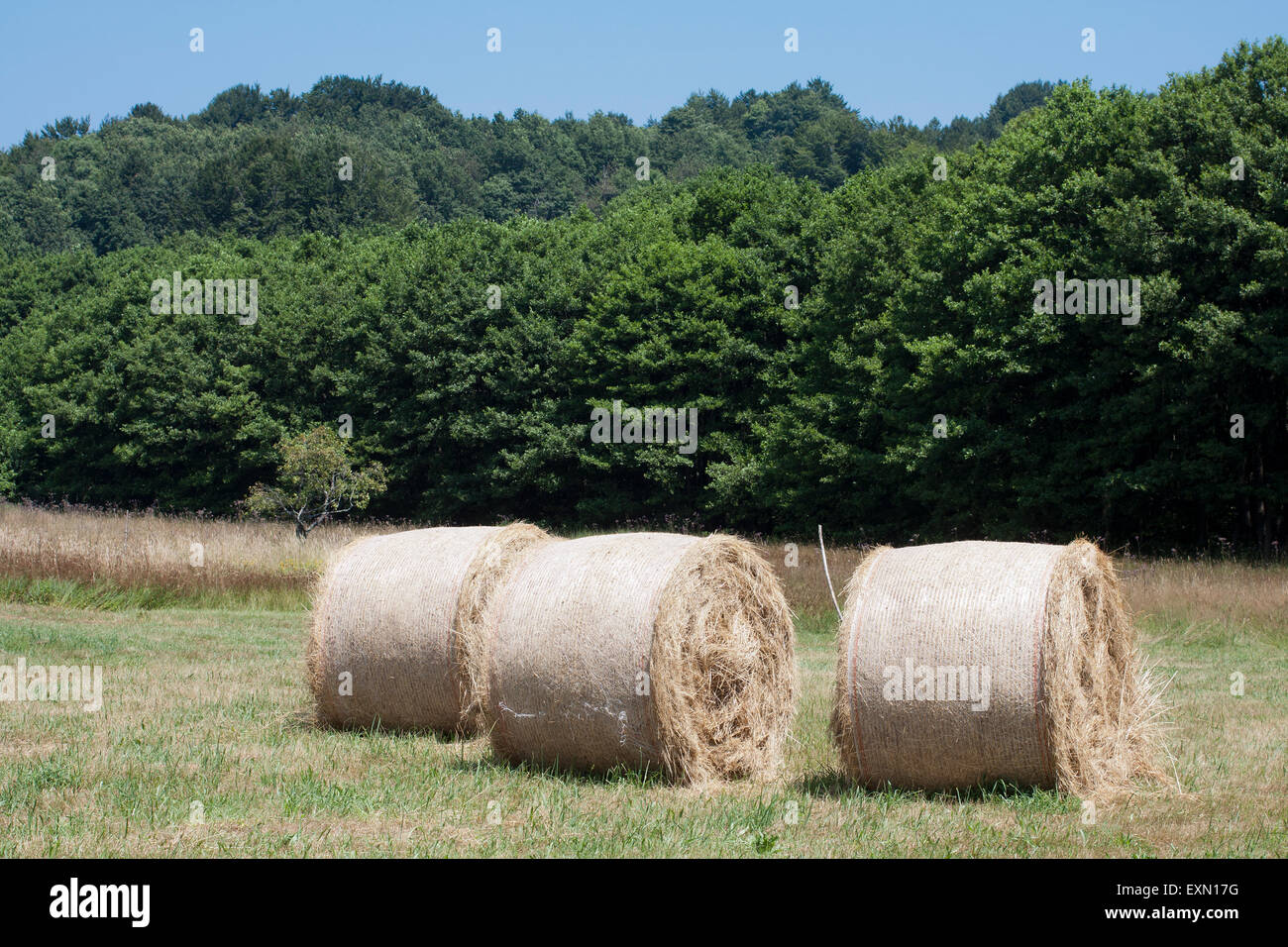 Field haystacks sunset in hi-res stock photography and images - Alamy