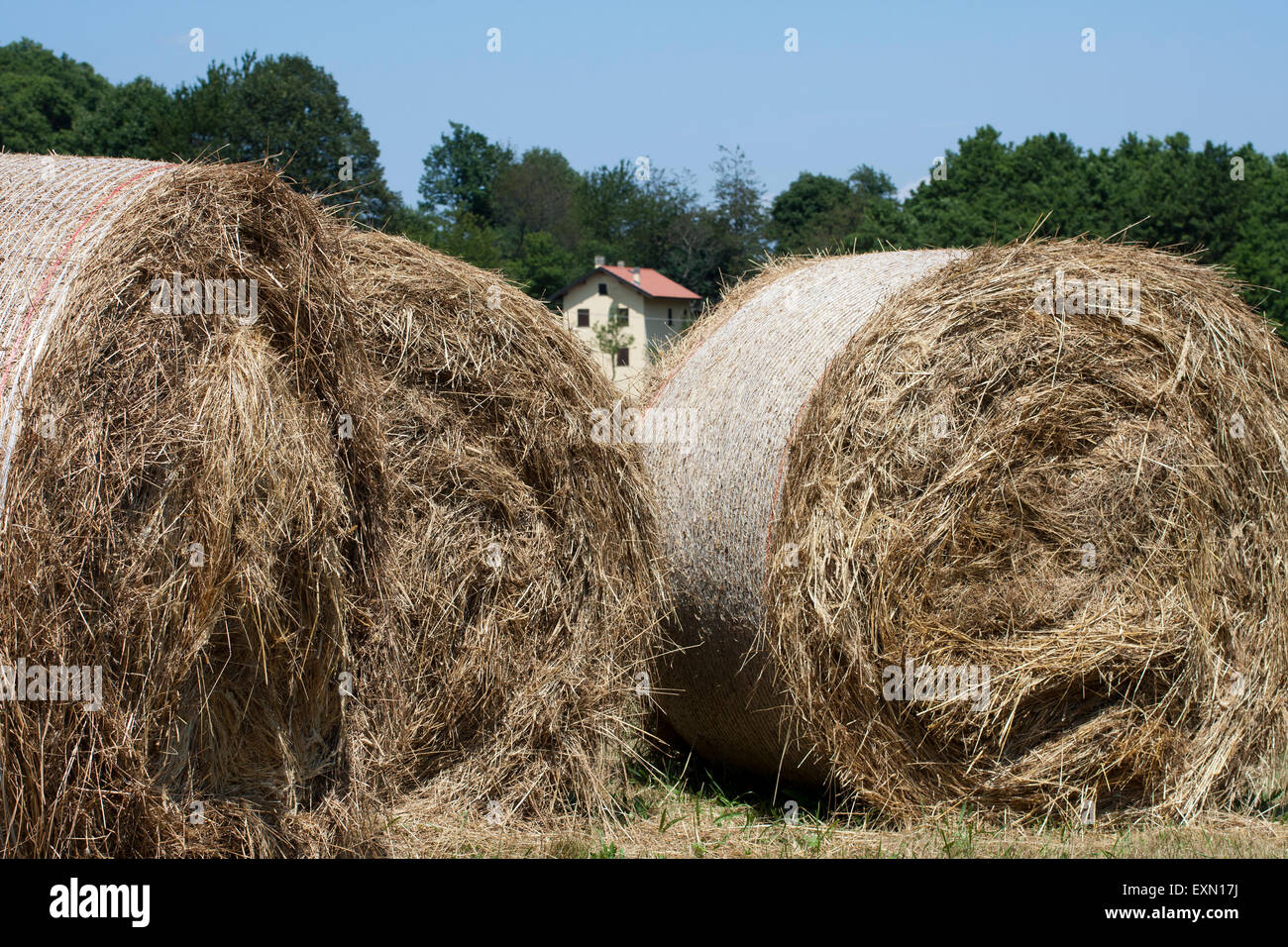 Field haystacks sunset in hi-res stock photography and images - Alamy
