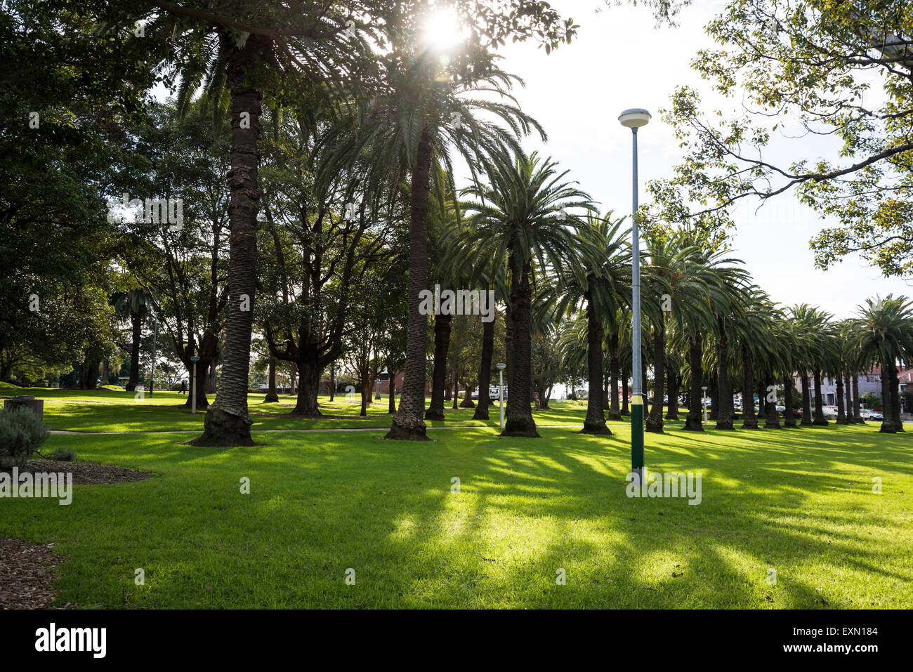 Haberfield, The Garden Suburb, Park, Sydney, Australia Stock Photo - Alamy