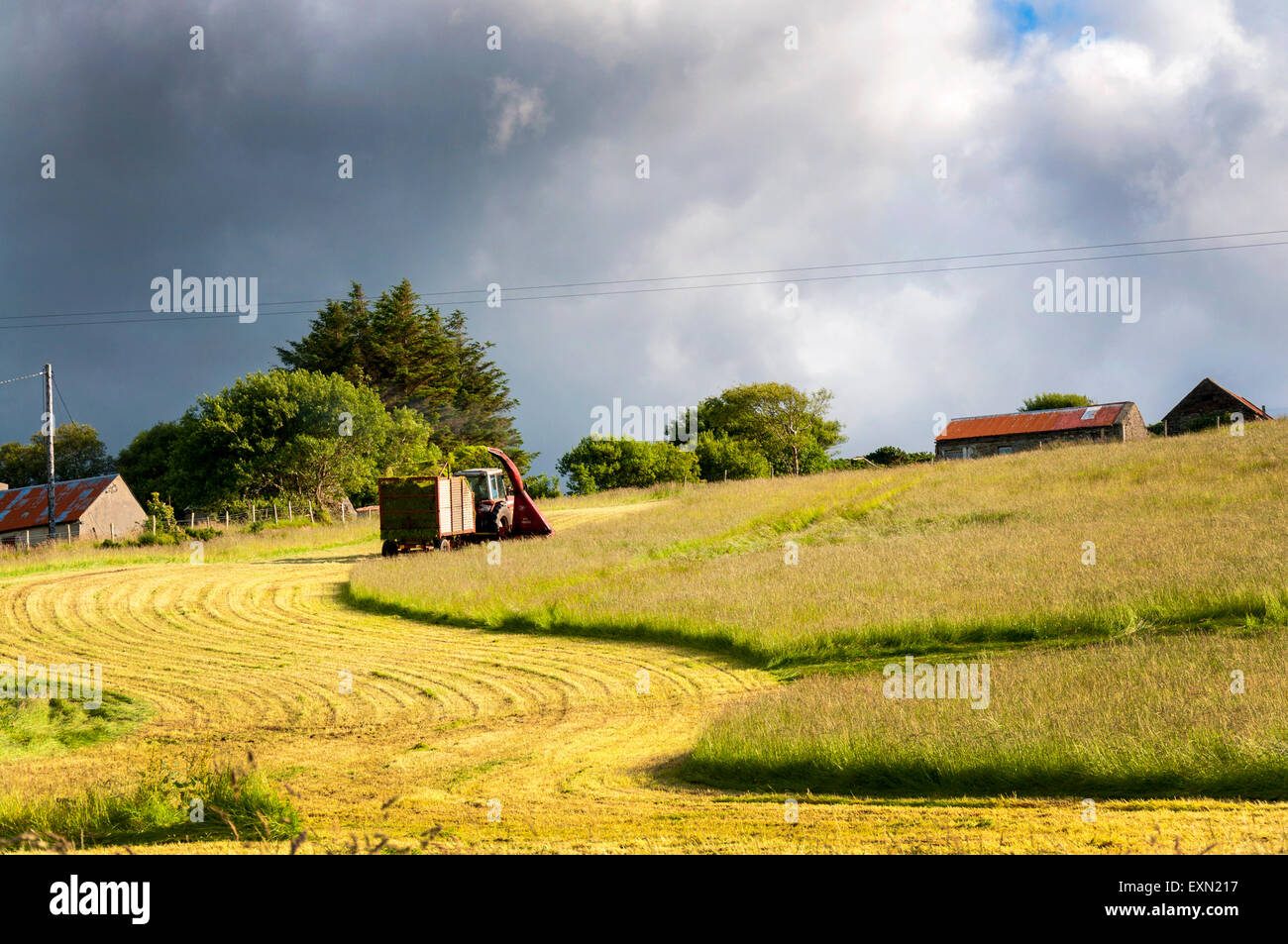 Ardara, County Donegal, Ireland. 15th July 2015. weather.A farmer makes ...