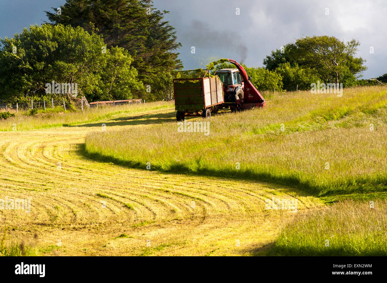 Ardara, County Donegal, Ireland. 15th July 2015. weather.A farmer makes ...