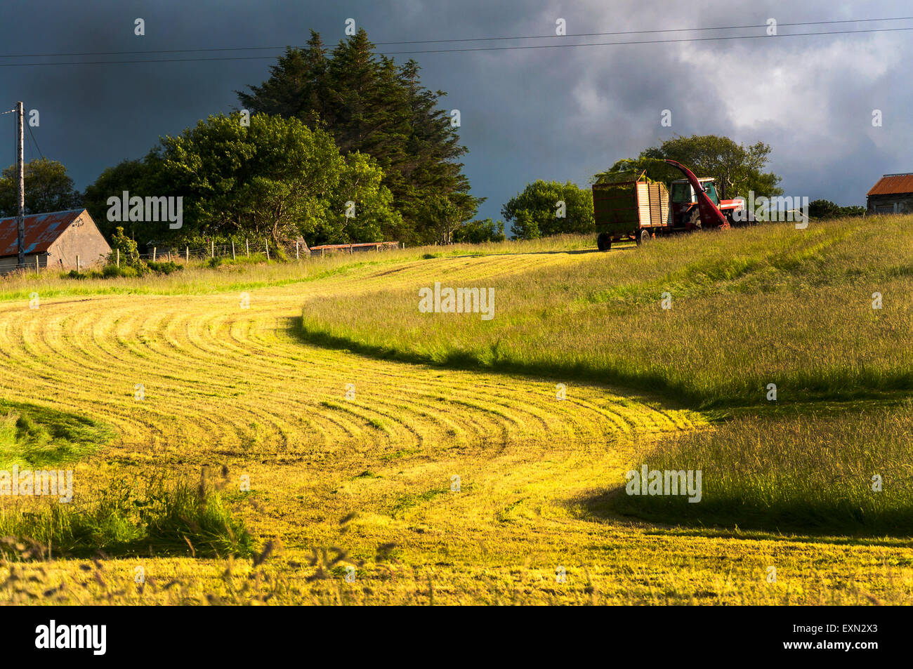 Ardara, County Donegal, Ireland. 15th July 2015. weather.A farmer makes ...