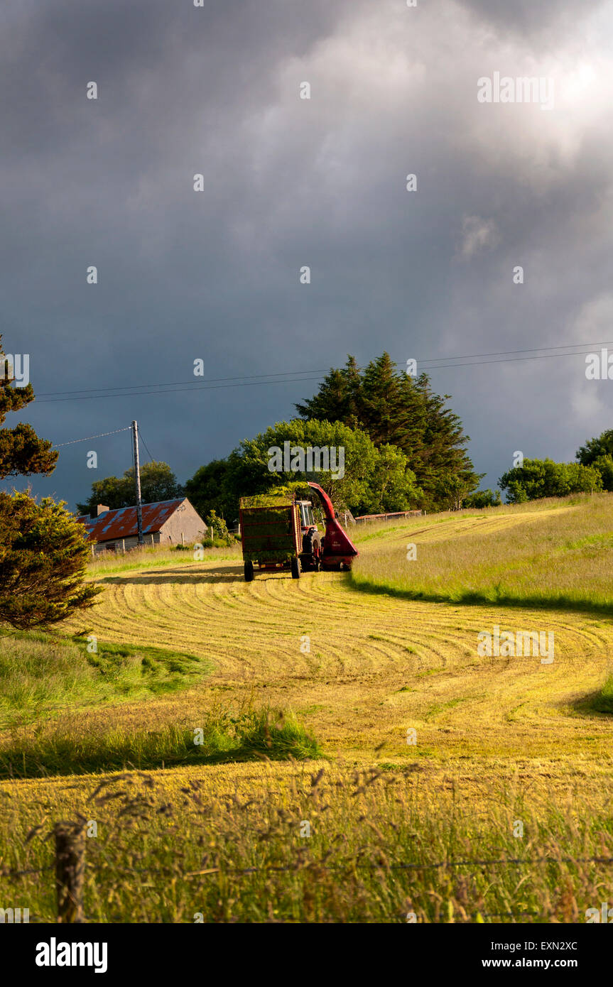 Ardara, County Donegal, Ireland. 15th July 2015. weather.A farmer makes ...