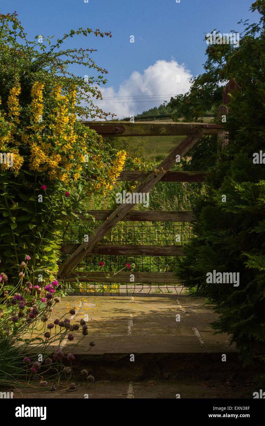 A rustic old gate being taken over by plants in a rural area of the ...