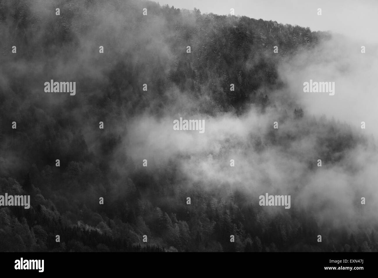 Parc naturel regional du massif des bauges hi-res stock photography and ...