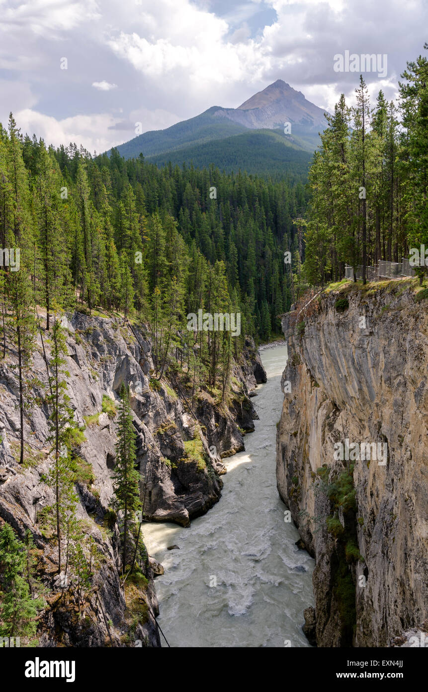 Sunwapta hi-res stock photography and images - Alamy