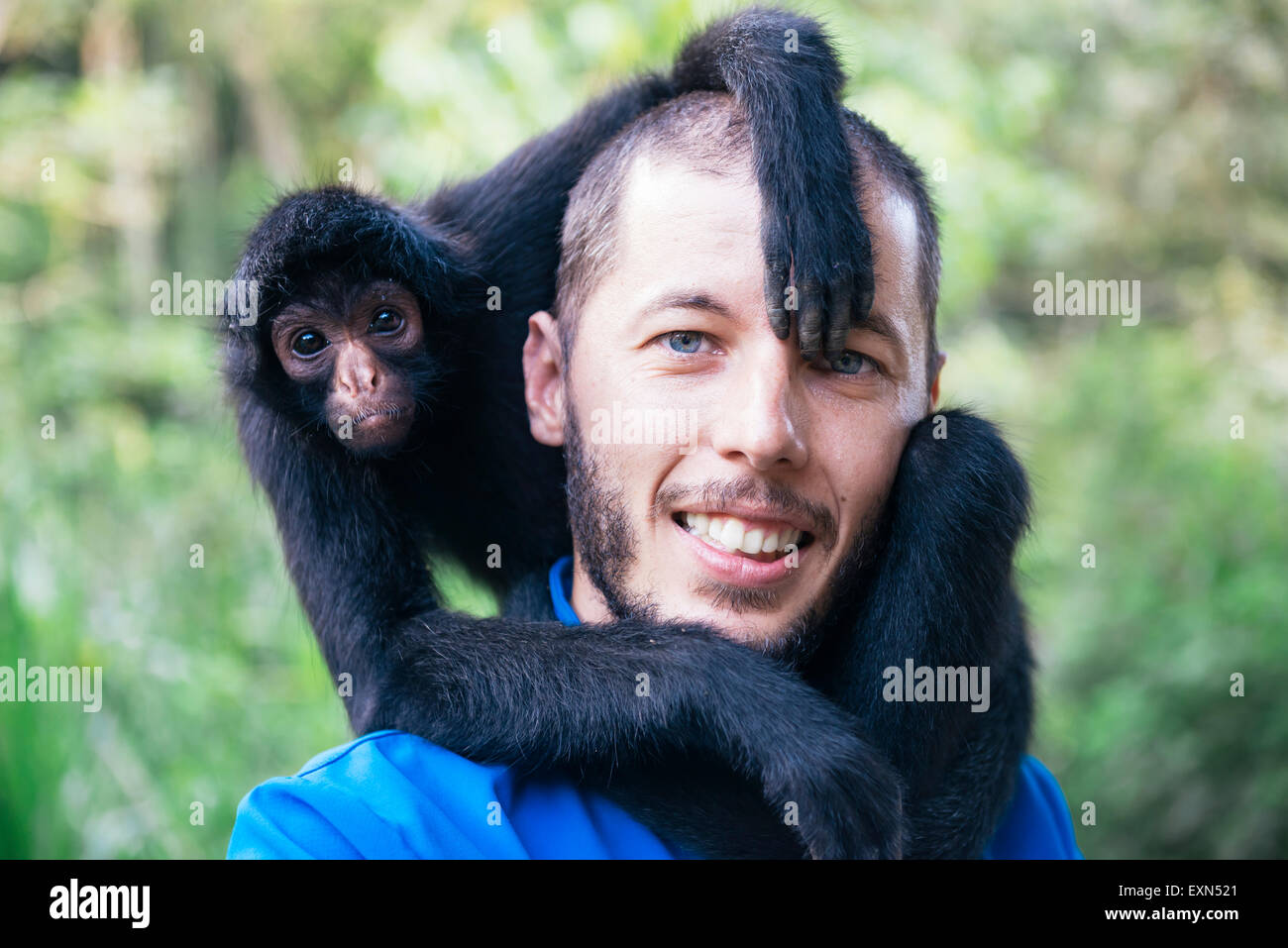 Bolivia, Coroico, portrait of smiling man with black spider monkey on ...