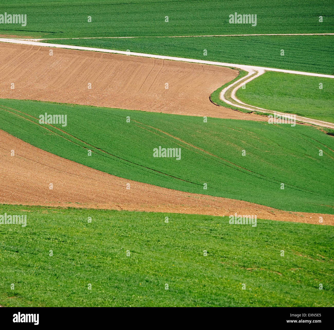 Germany, Black Forest, cultivation Stock Photo - Alamy