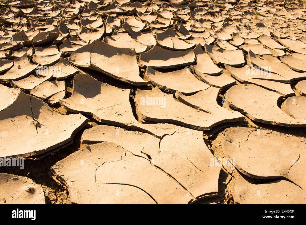Dry cracked earth background, clay desert texture Stock Photo - Alamy