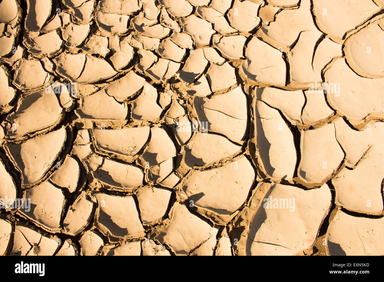 Dry cracked earth background, clay desert texture Stock Photo - Alamy
