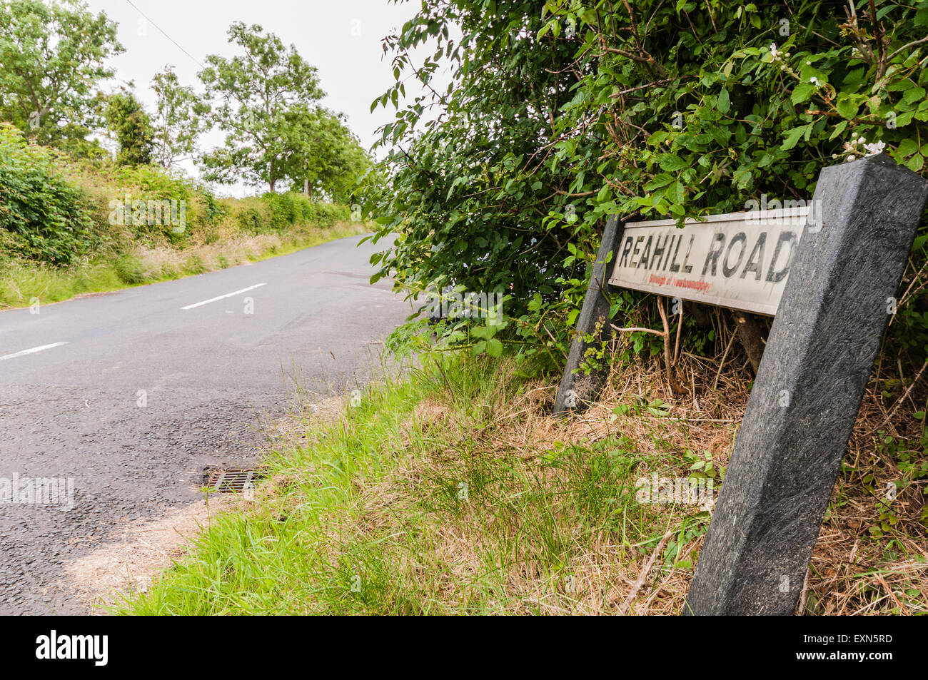 Pig farming northern ireland hi-res stock photography and images - Alamy