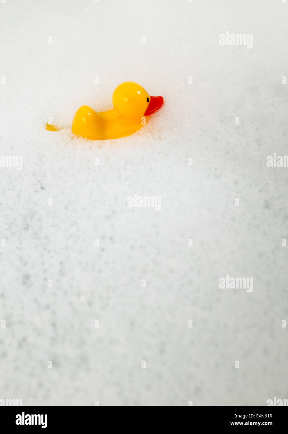 Duck in the bath hi-res stock photography and images - Alamy