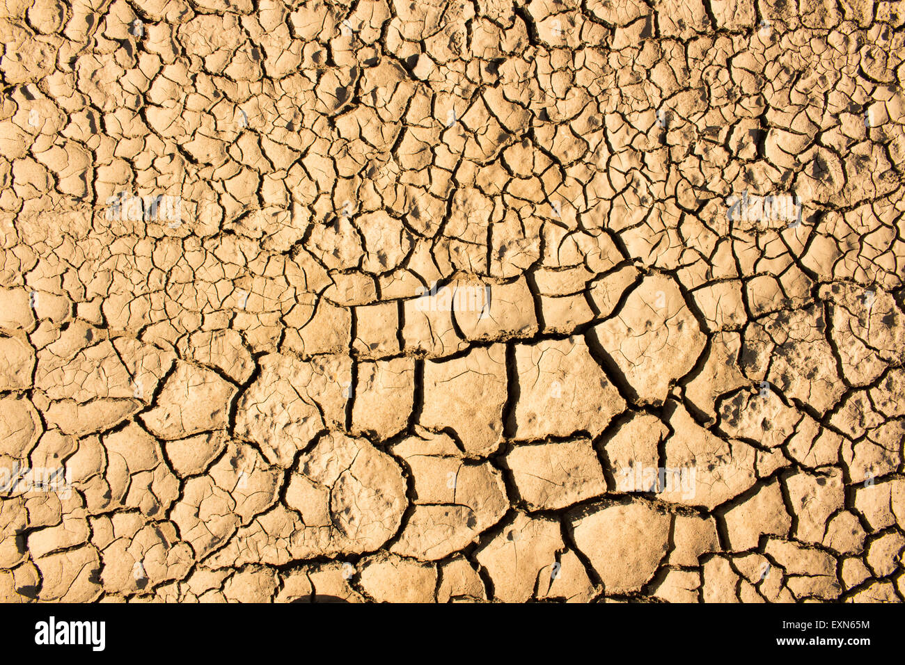 Dry cracked earth background, clay desert texture Stock Photo - Alamy
