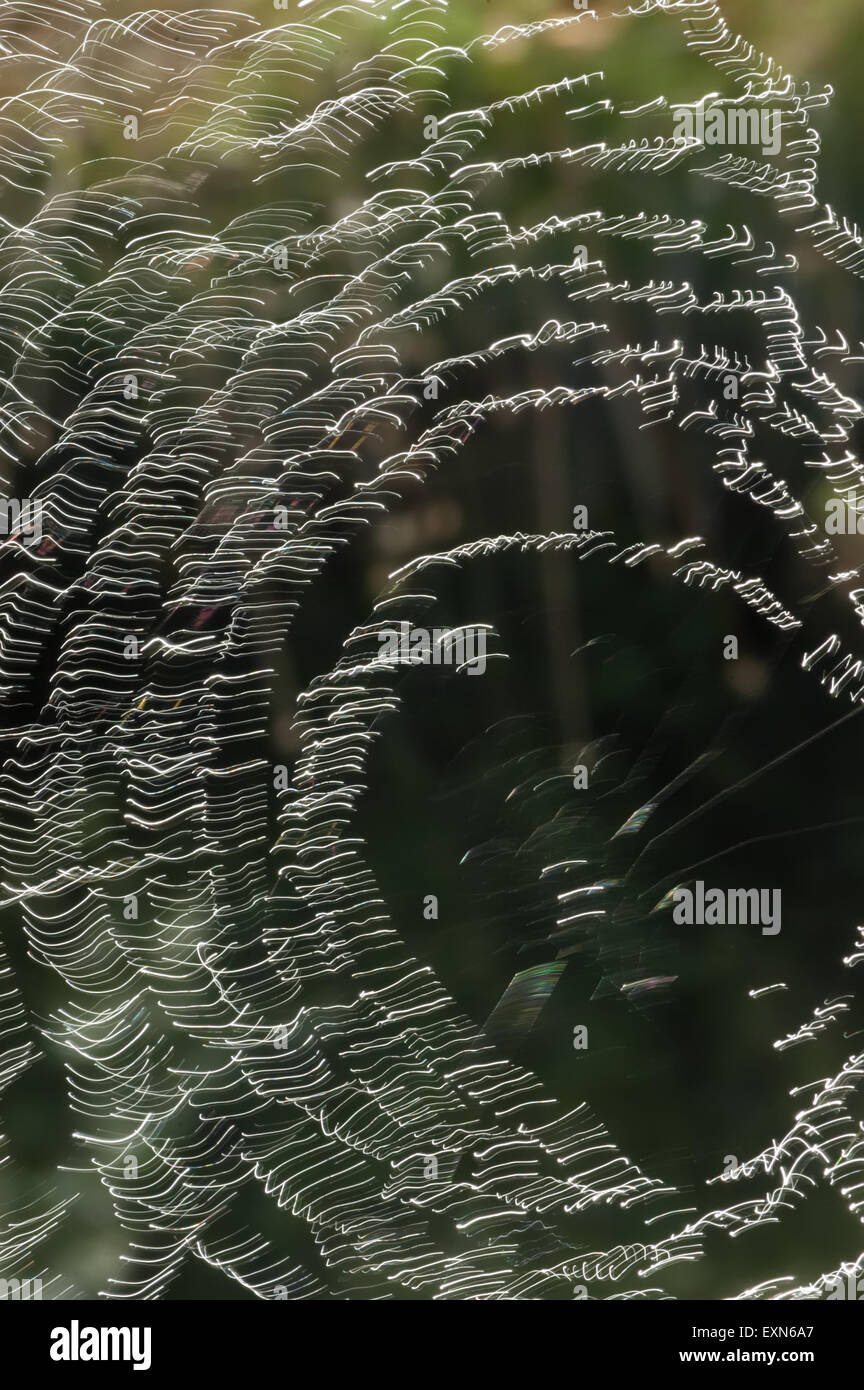 Vibrating colours hi-res stock photography and images - Alamy