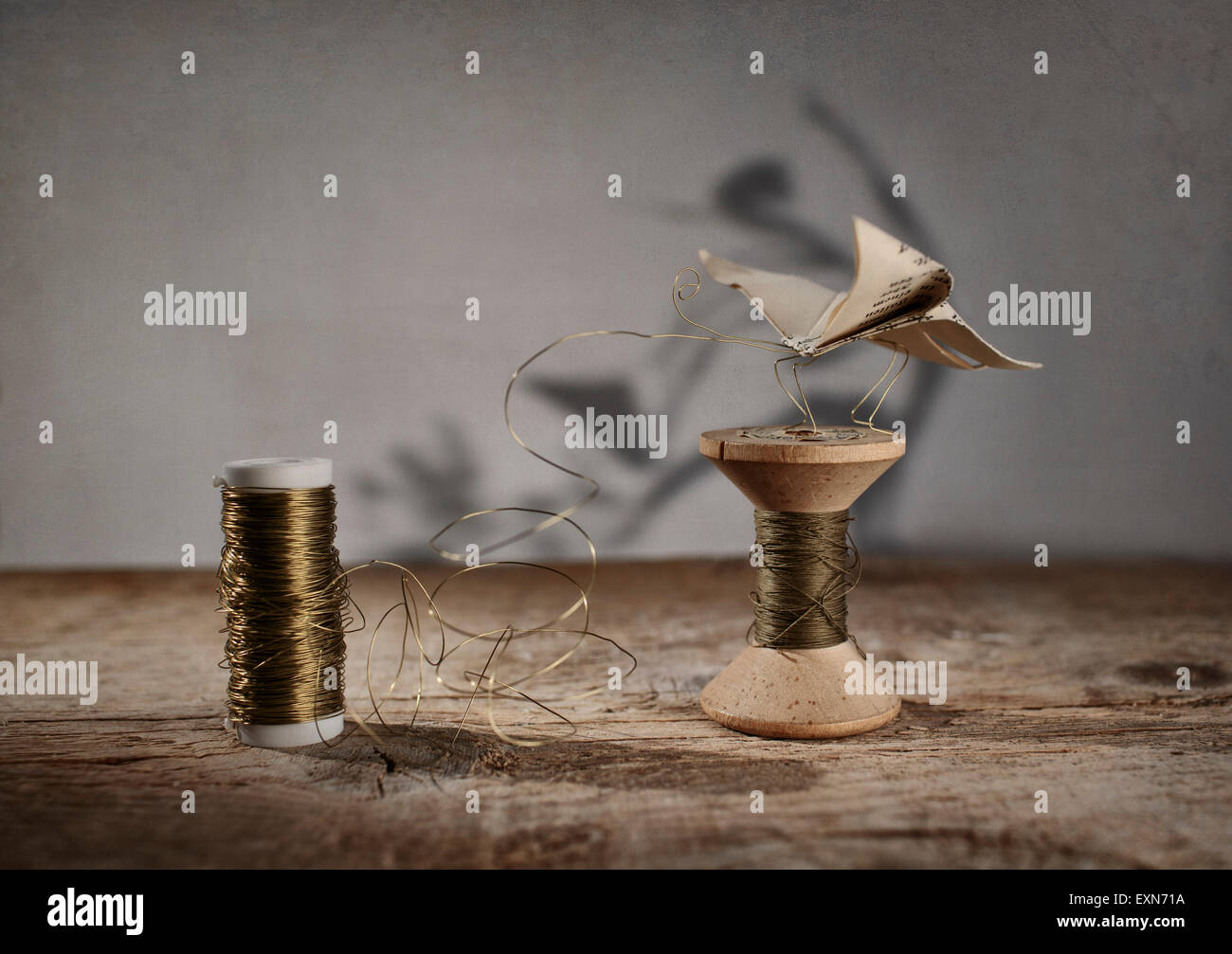 Reel of paper hi-res stock photography and images - Alamy