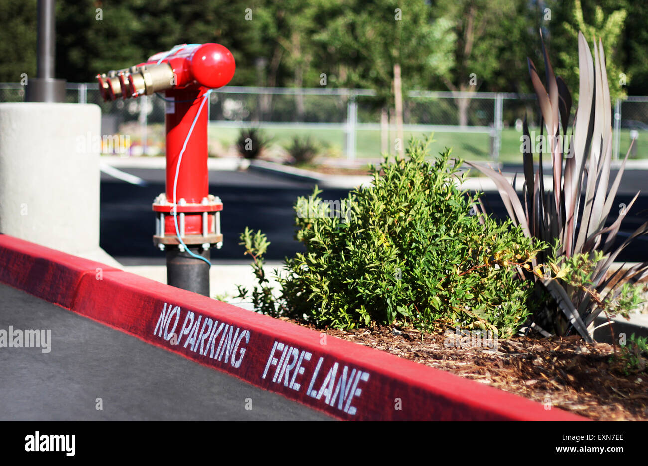 "No Parking Fire Lane" sign on the parking lot, with a fire hydrant on ...