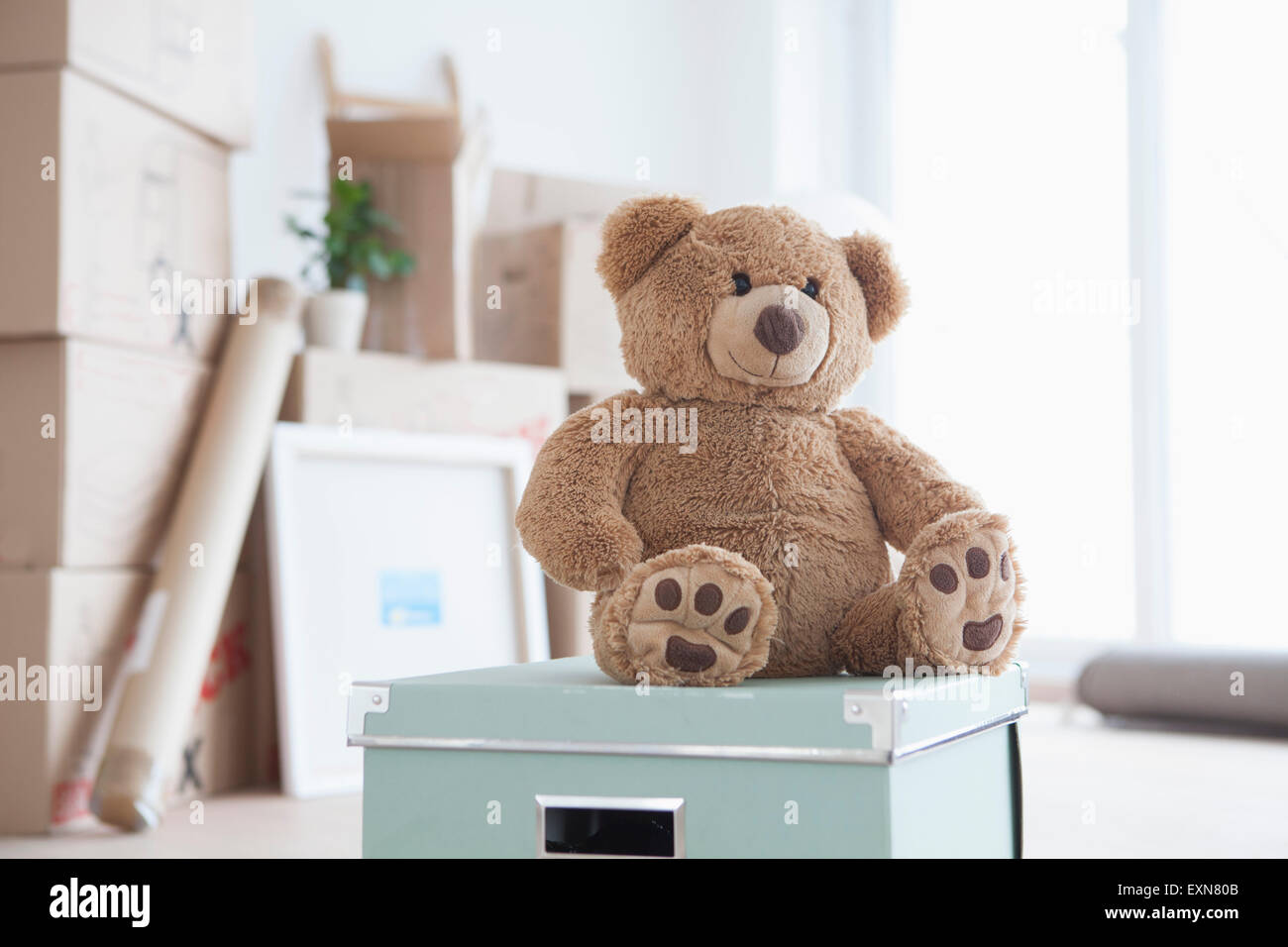 Box in front hi-res stock photography and images - Alamy