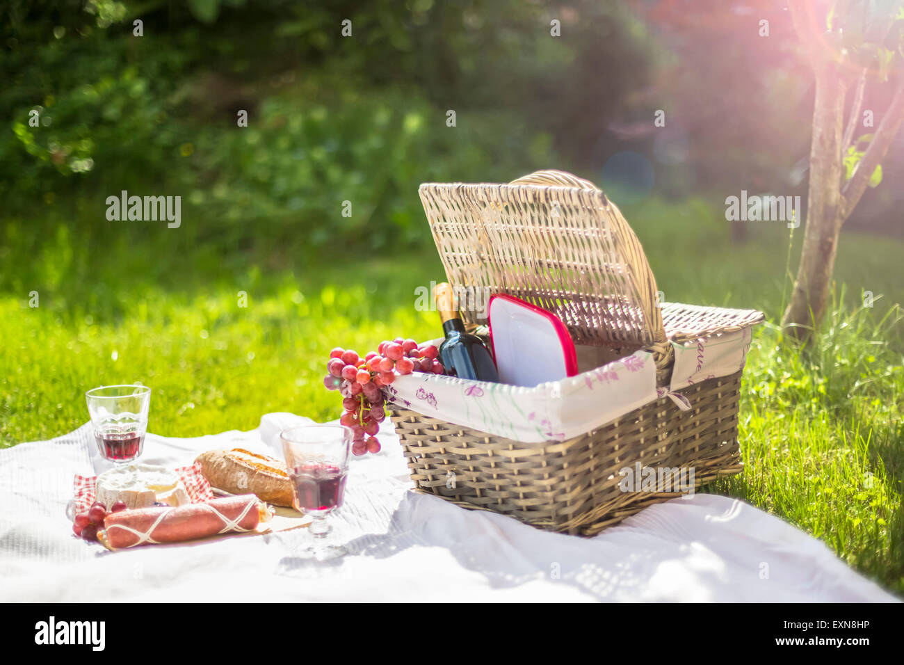 Germany, Bavaria, Picnic on grass with wine, grapes, sausage, cheese ...