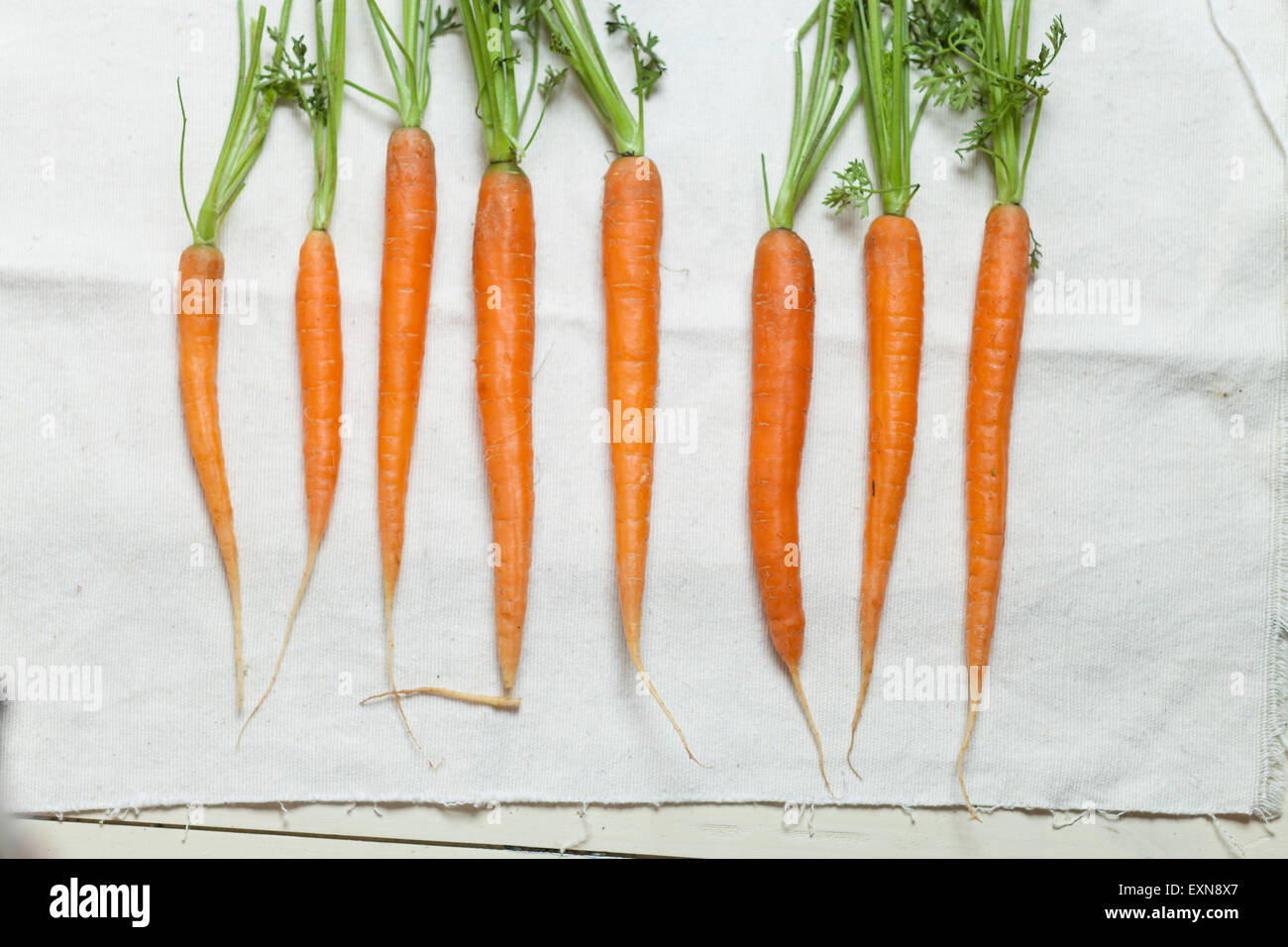 Eight carrots hi-res stock photography and images - Alamy