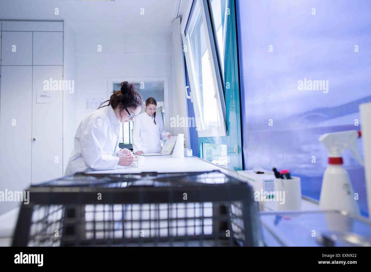 Laboratory assistants checking samples Stock Photo - Alamy