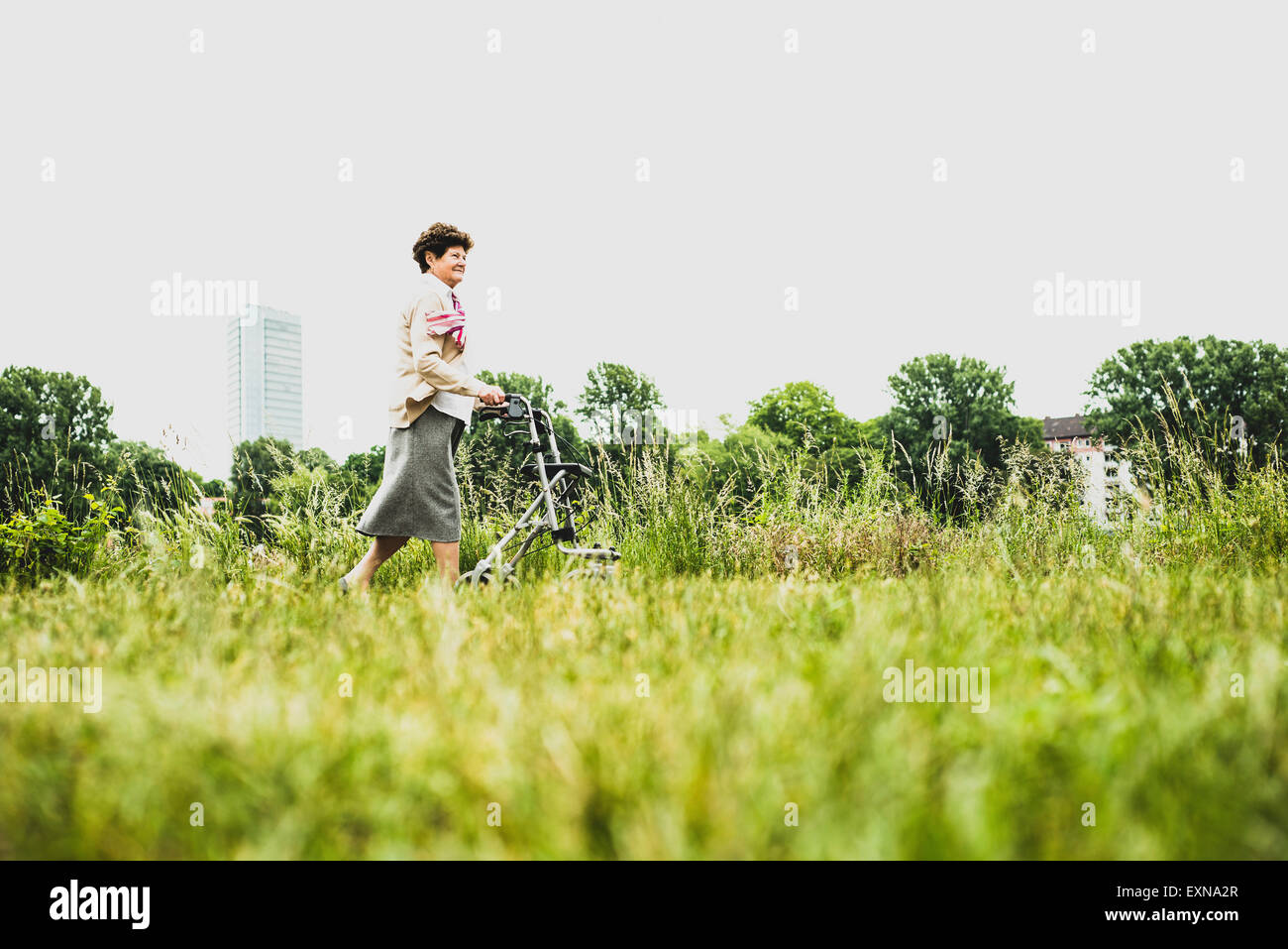 Senior woman walking with wheeled walker Stock Photo - Alamy