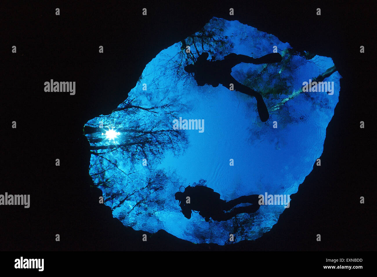 Ginnie springs hi-res stock photography and images - Alamy