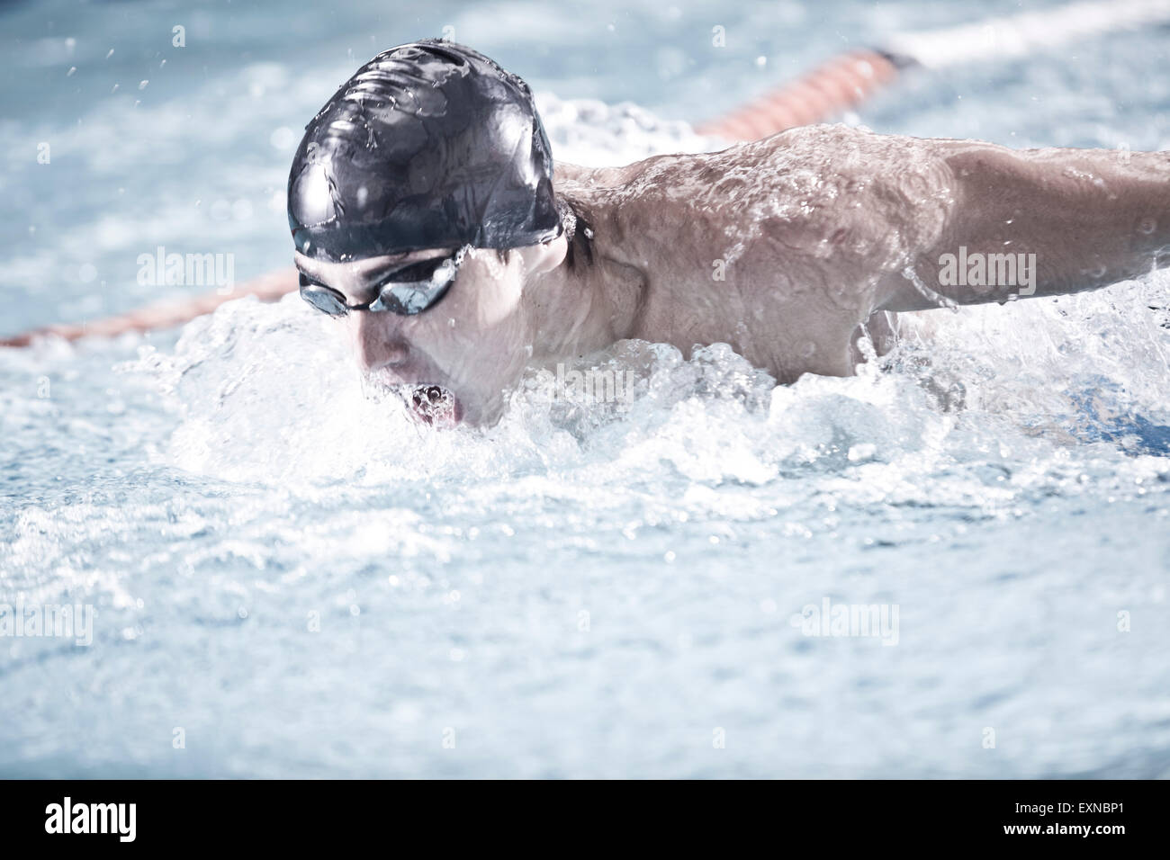 Swimmer training in indoor pool Stock Photo - Alamy