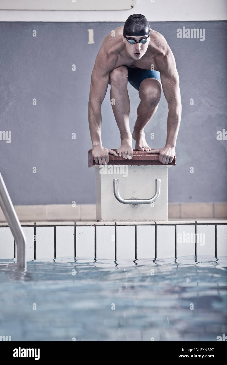 Swimmer in indoor pool in starting position Stock Photo - Alamy