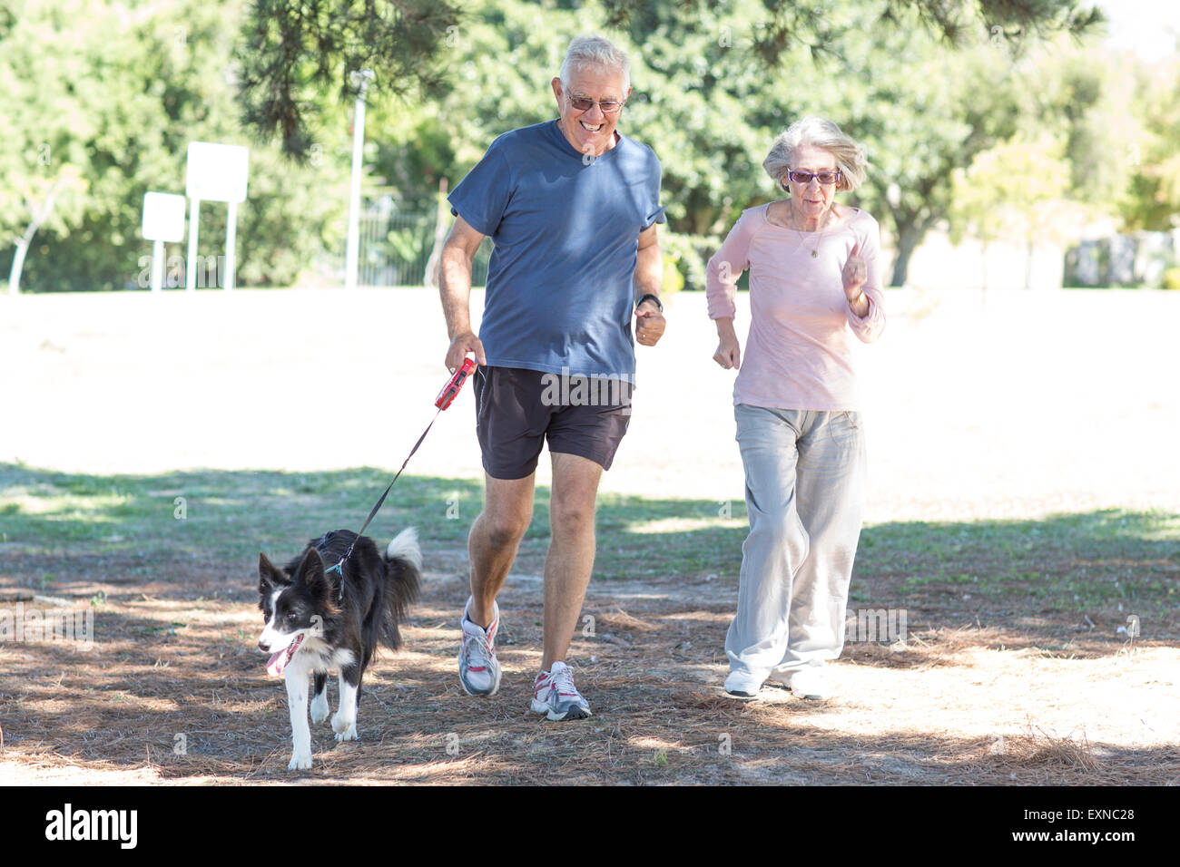 Senior jogging dog hi-res stock photography and images - Alamy