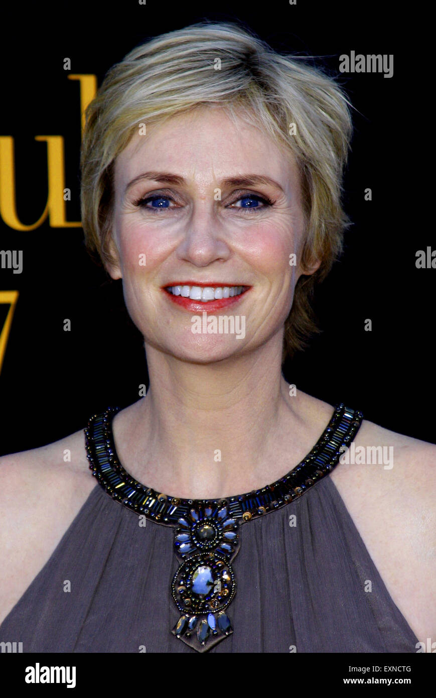 Jane Lynch at the Los Angeles premiere of 'Julie and Julia' held at the ...