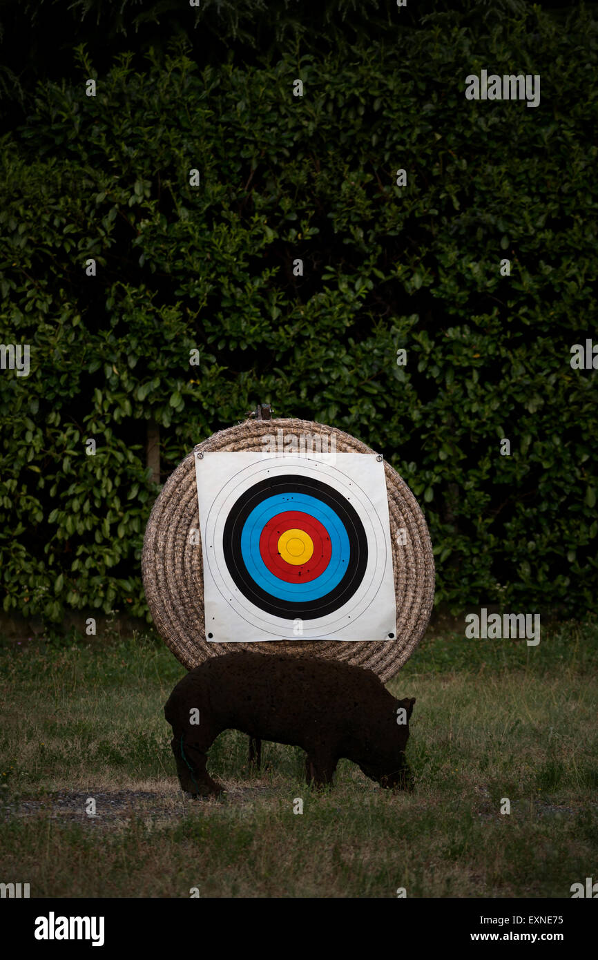 View of target hi-res stock photography and images - Alamy