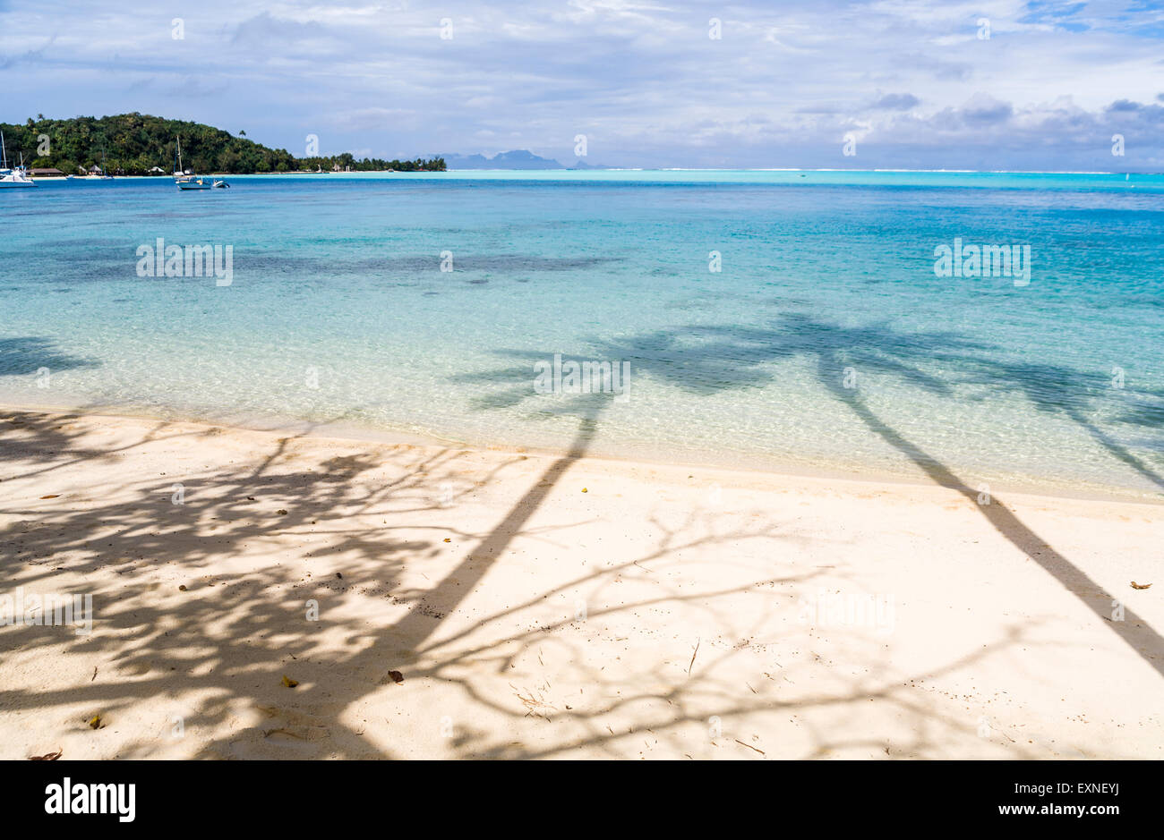 Shadows of palm trees on the beach and foreshore on a sunny day with an ...
