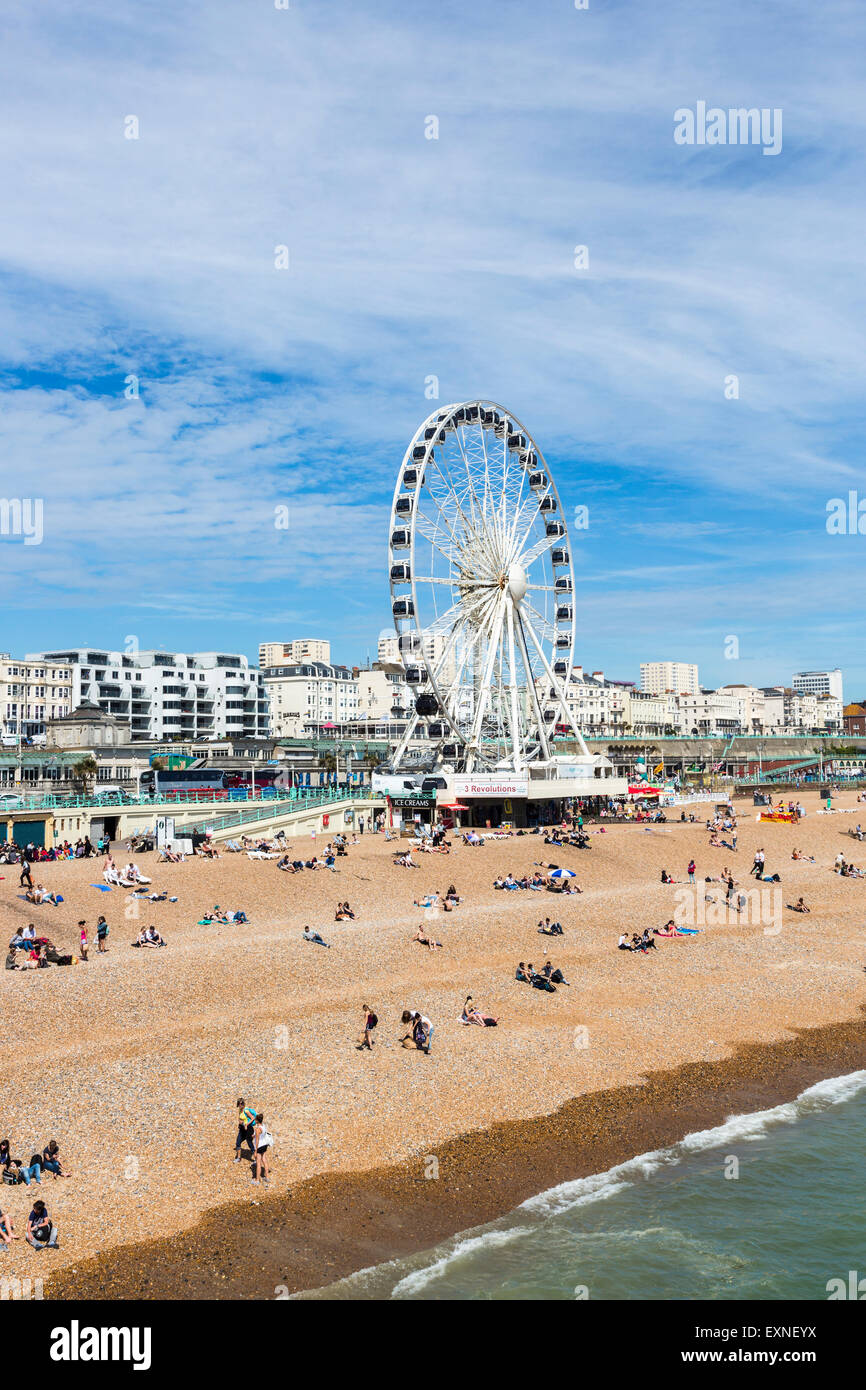 Brighton Beach seafront and coast shoreline with promenade and Brighton ...