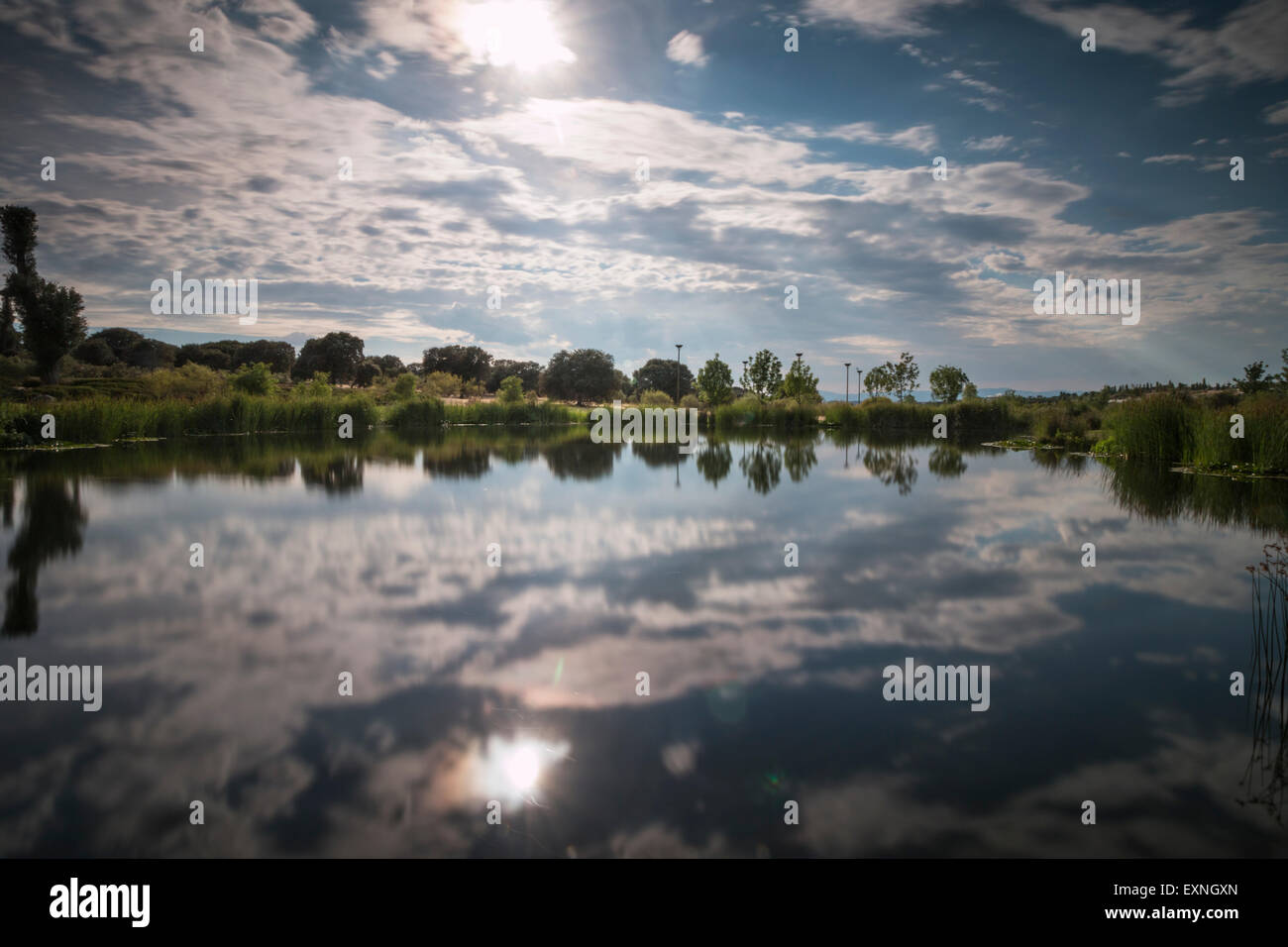 Beauty filters hi-res stock photography and images - Alamy