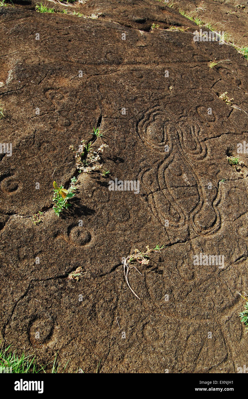 Petroglyphs - Easter Island Stock Photo - Alamy