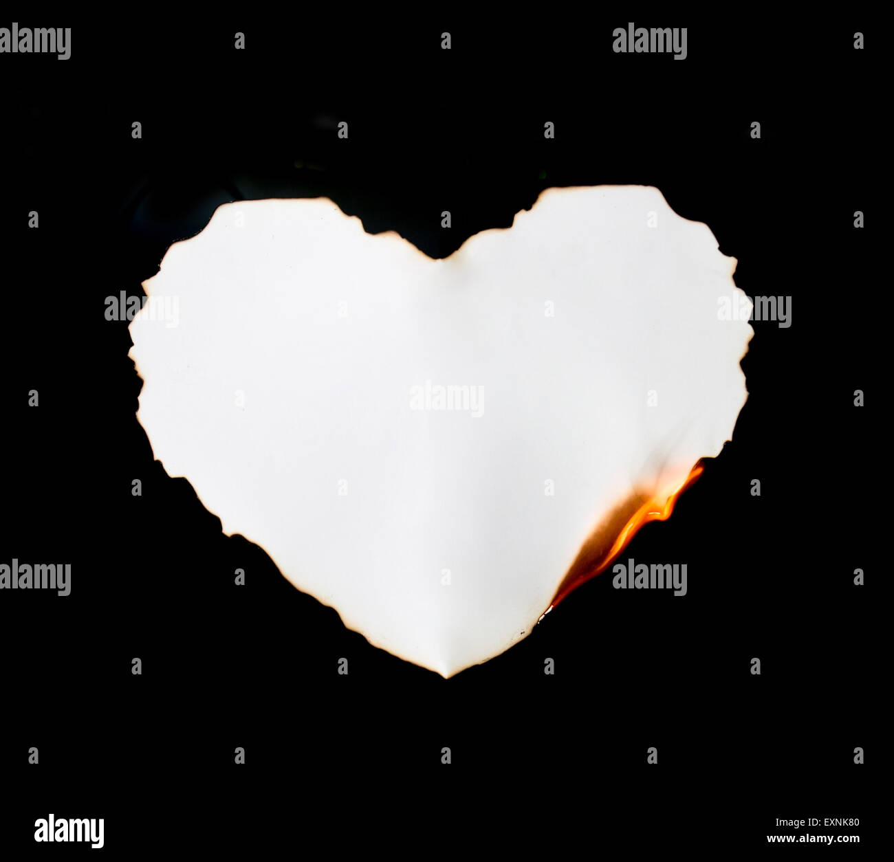 White paper texture shape hi-res stock photography and images - Alamy