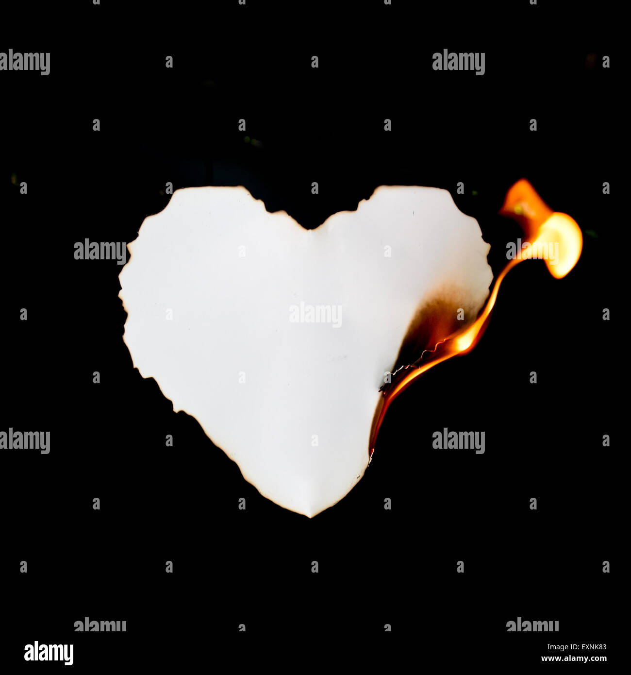 White paper texture shape hi-res stock photography and images - Alamy