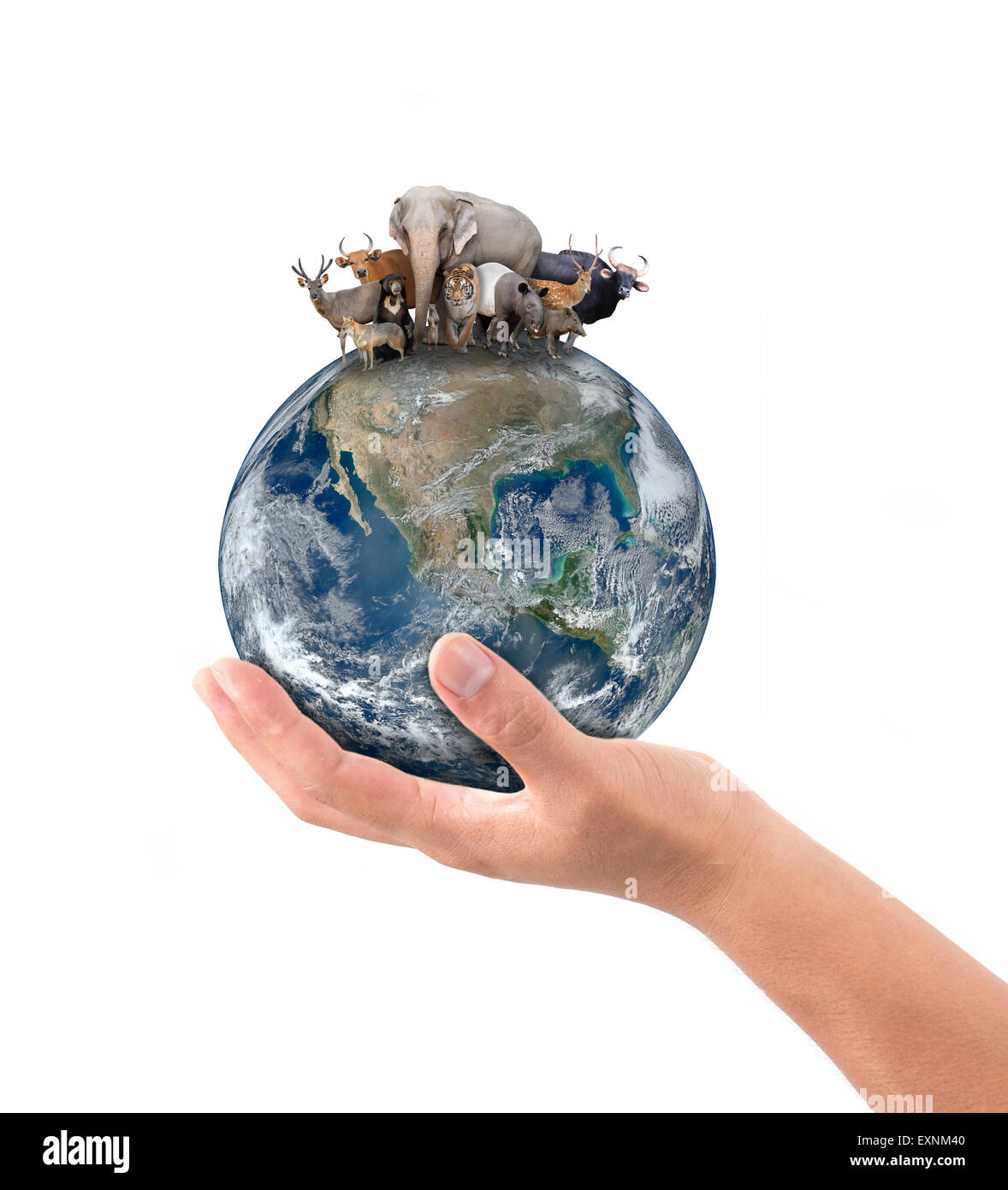 Earth Element Photography