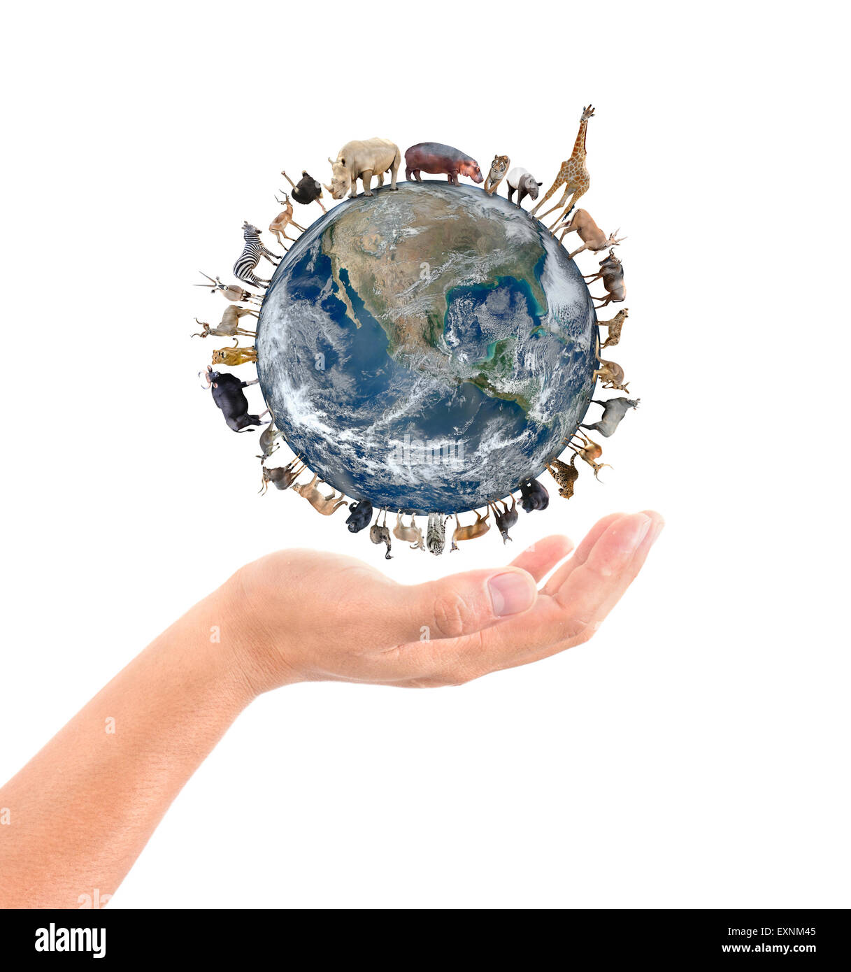 animal stand around the world on the hand, Element of this image are ...