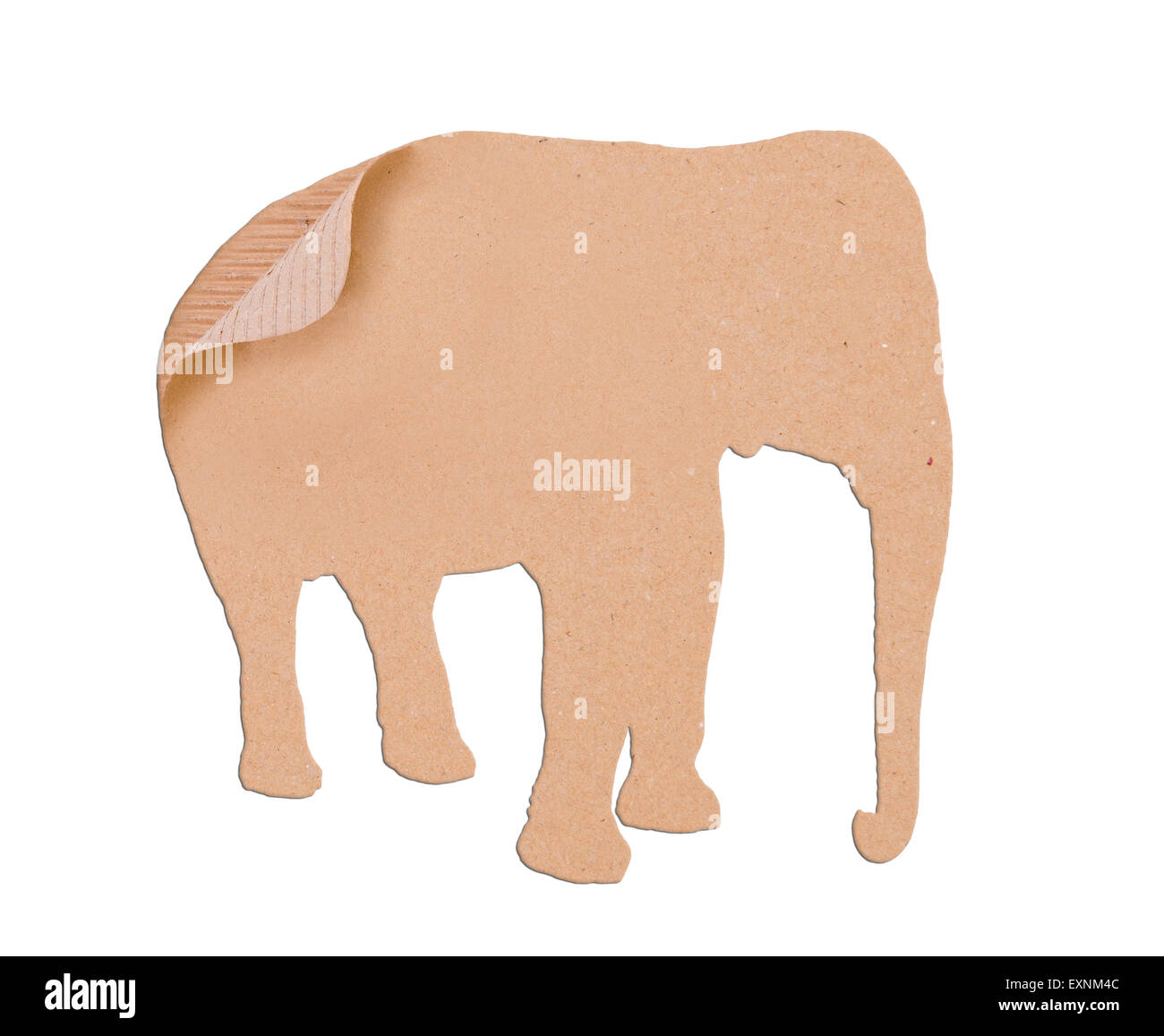 elephant shape paper box on white background Stock Photo - Alamy