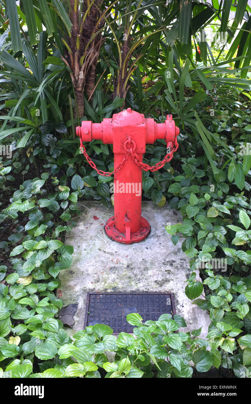 Red fire hydrant among tree and plant Stock Photo - Alamy