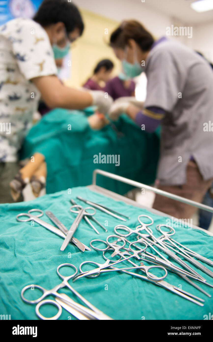 Veterinarian performing an operation in the operating room Stock Photo ...