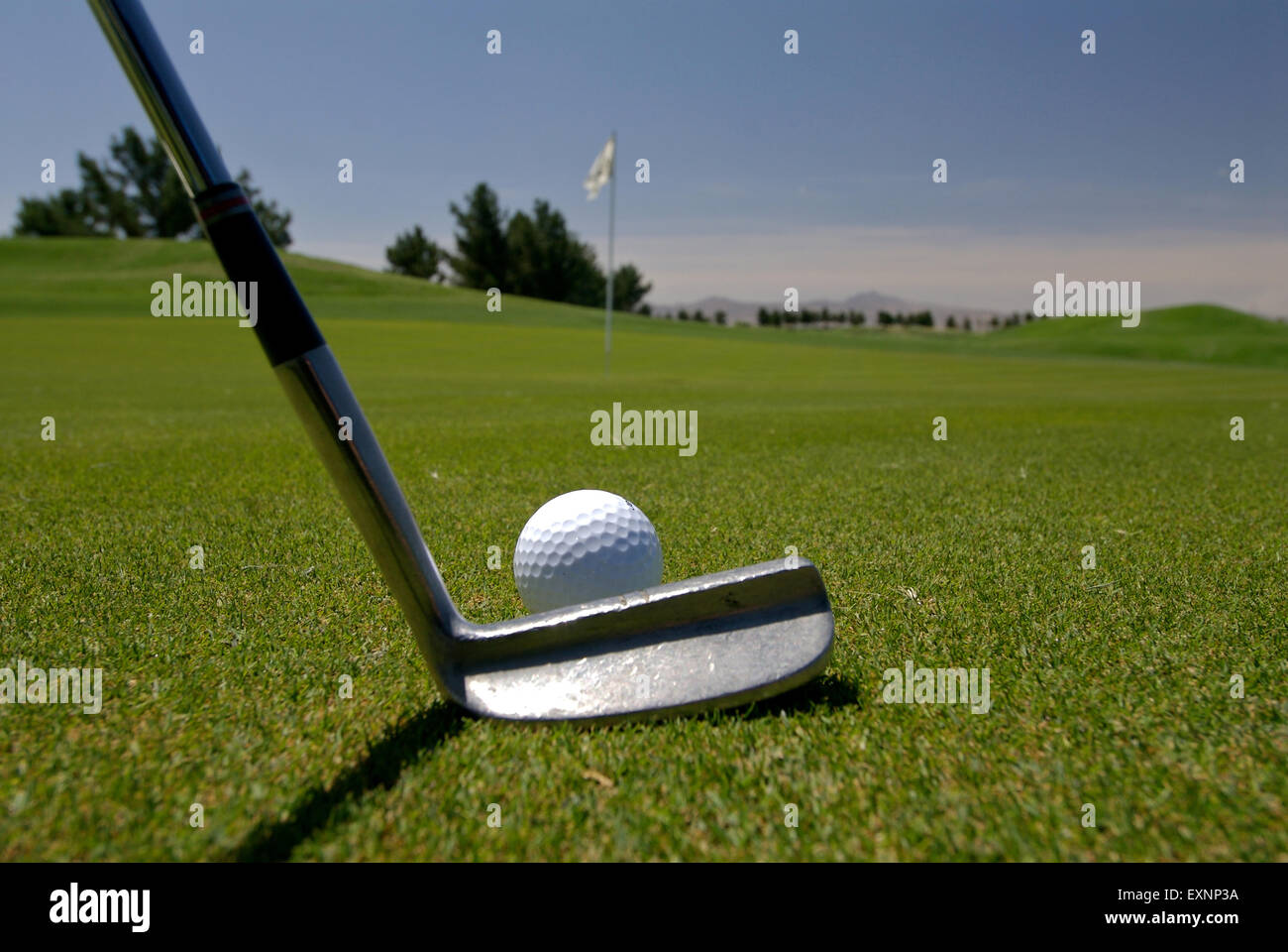 Putter head hi-res stock photography and images - Alamy