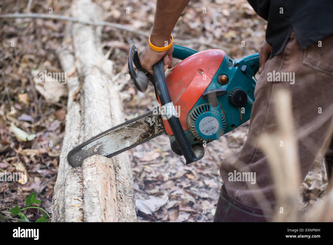 man cutting the log of wood with chainsaw Stock Photo - Alamy