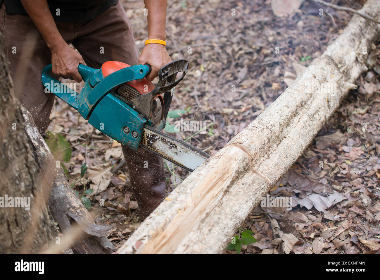 man cutting the log of wood with chainsaw Stock Photo - Alamy