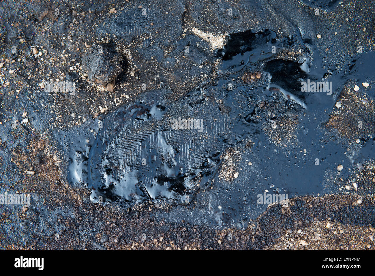 crude oil contaminate to environment Stock Photo - Alamy