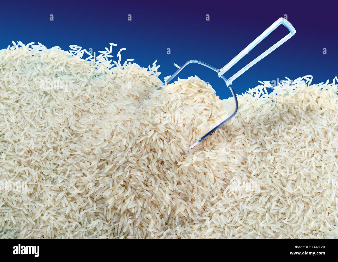 Quality rice hi-res stock photography and images - Alamy